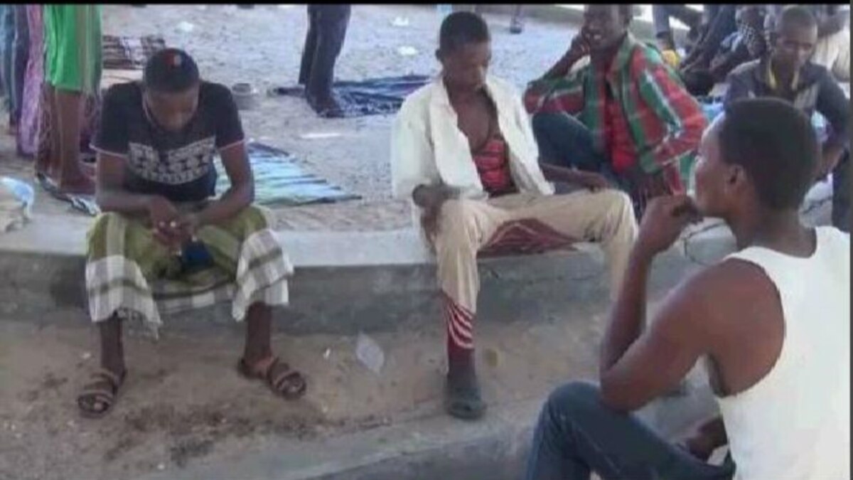 Jireenya Baqattootaa : Gamannis Ibidda Gamasiis Ibidda