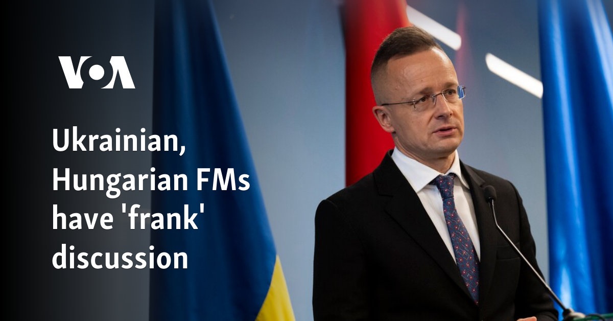 Ukrainian, Hungarian FMs have 'frank' discussion