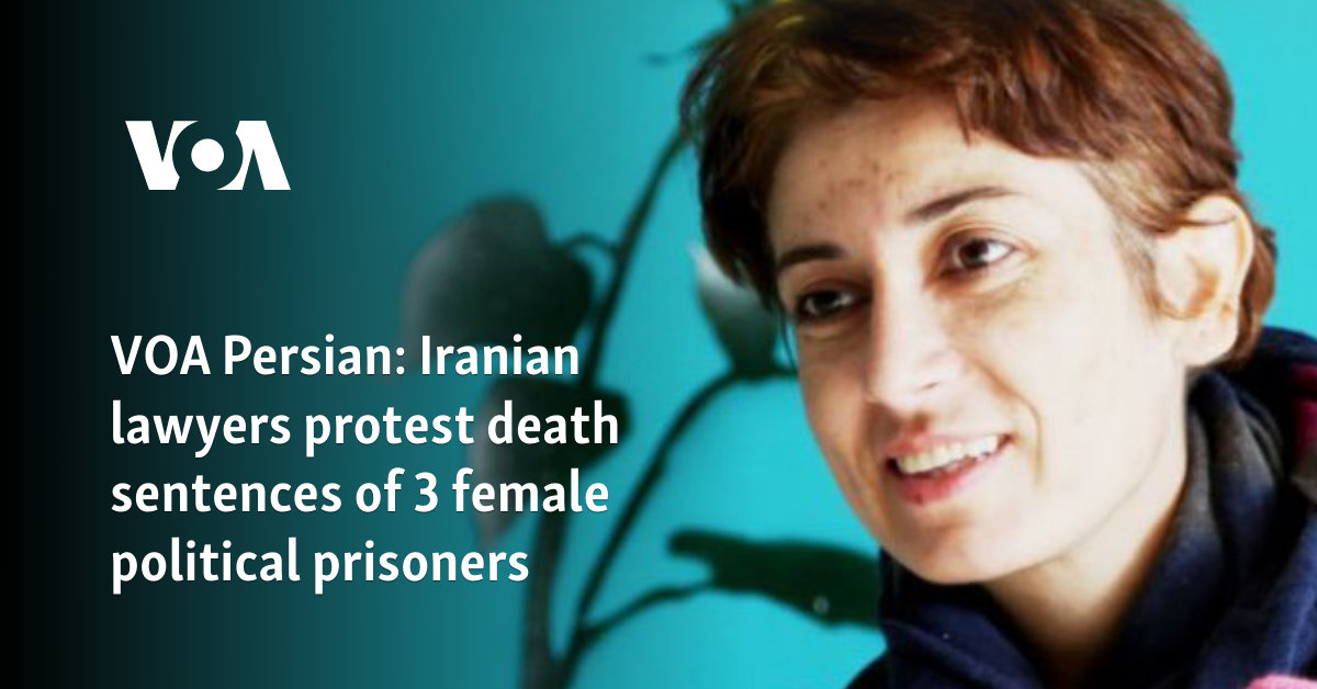 VOA Persian: Iranian lawyers protest death sentences of 3 female ...