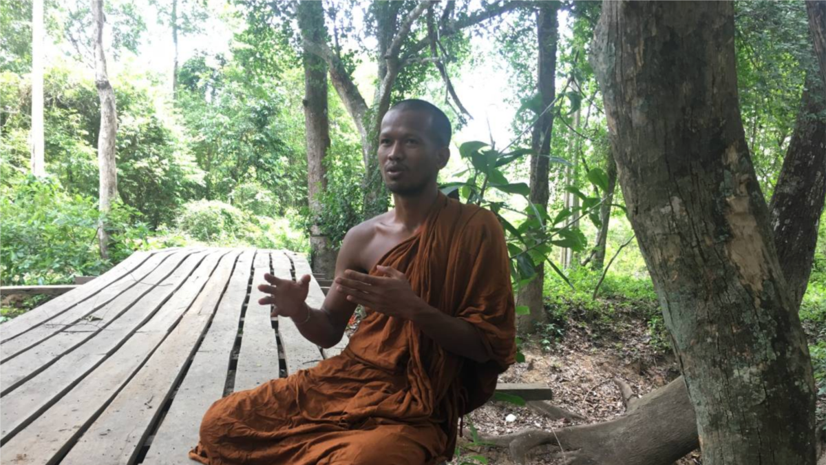 Buddhist Monks Meditation Forest