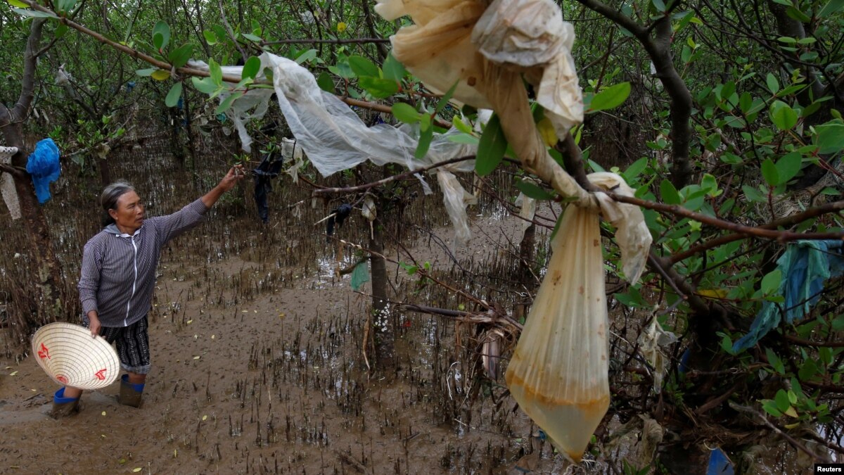 Vietnamese Fighting Back on Plastic Pollution