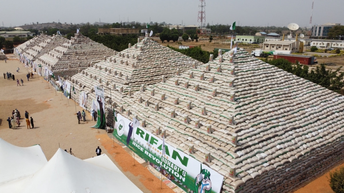 Nigeria Unveils Massive Pile of Rice Marking Production Progress