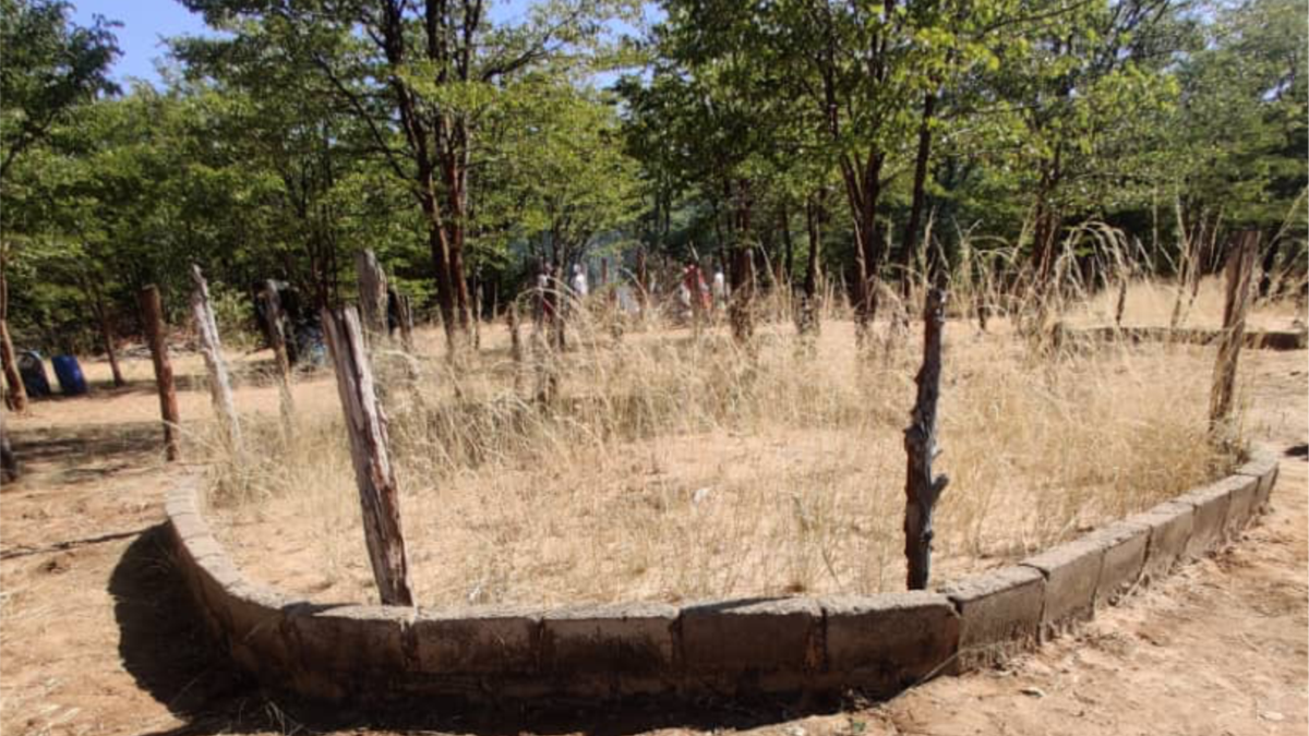 Induna Zikhonona Ngohlelo Lokuphenya Umbhuqazwe weGukurahundi