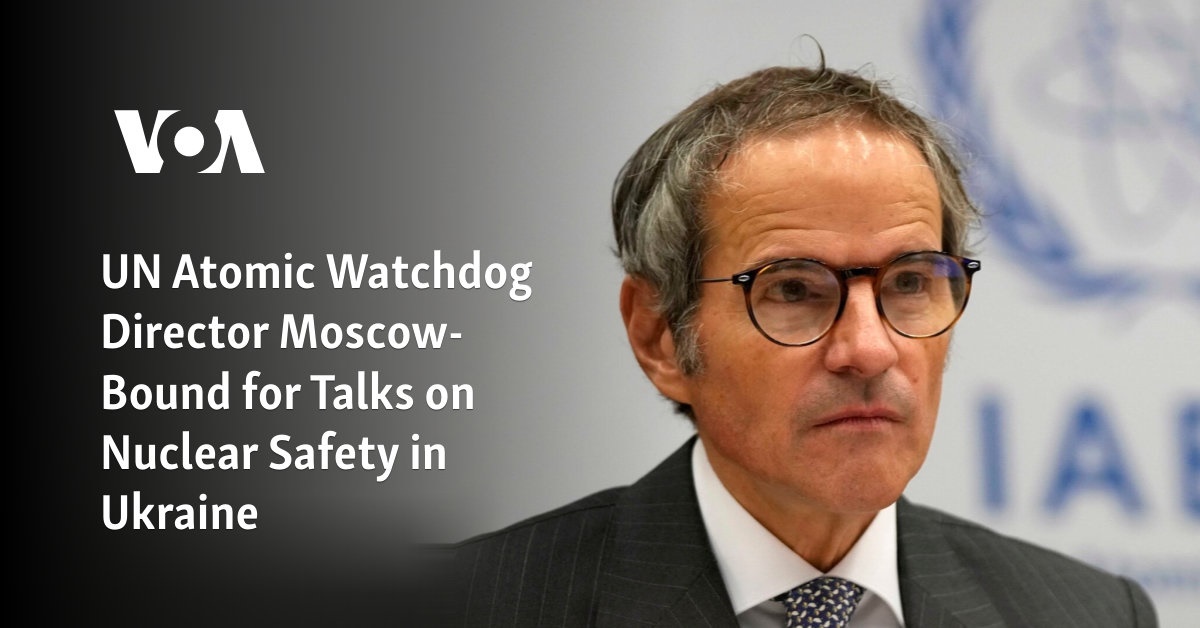 UN Atomic Watchdog Director Moscow-Bound for Talks on Nuclear Safety in ...
