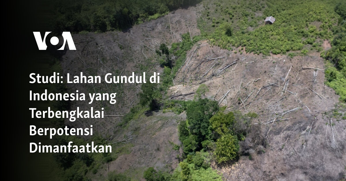 Studi: Lahan Gundul di Indonesia yang Terbengkalai Berpotensi Dimanfaatkan