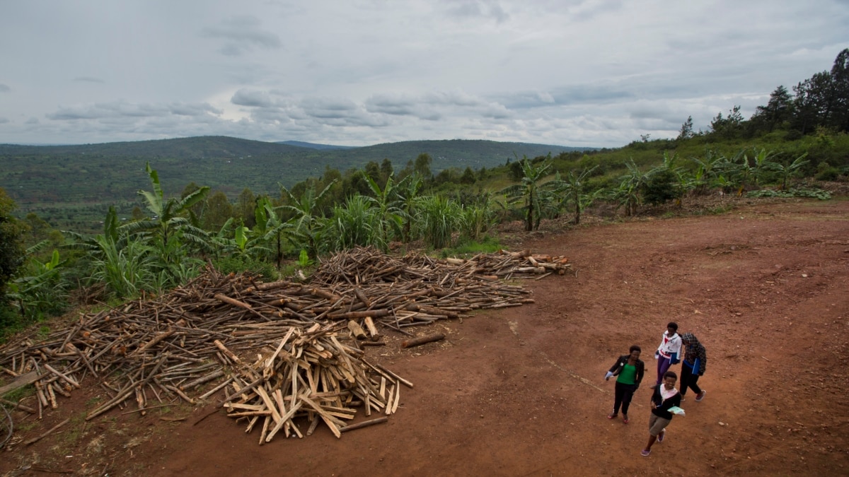 Rwanda Solar Grid Capitalizes on Limited Sunshine