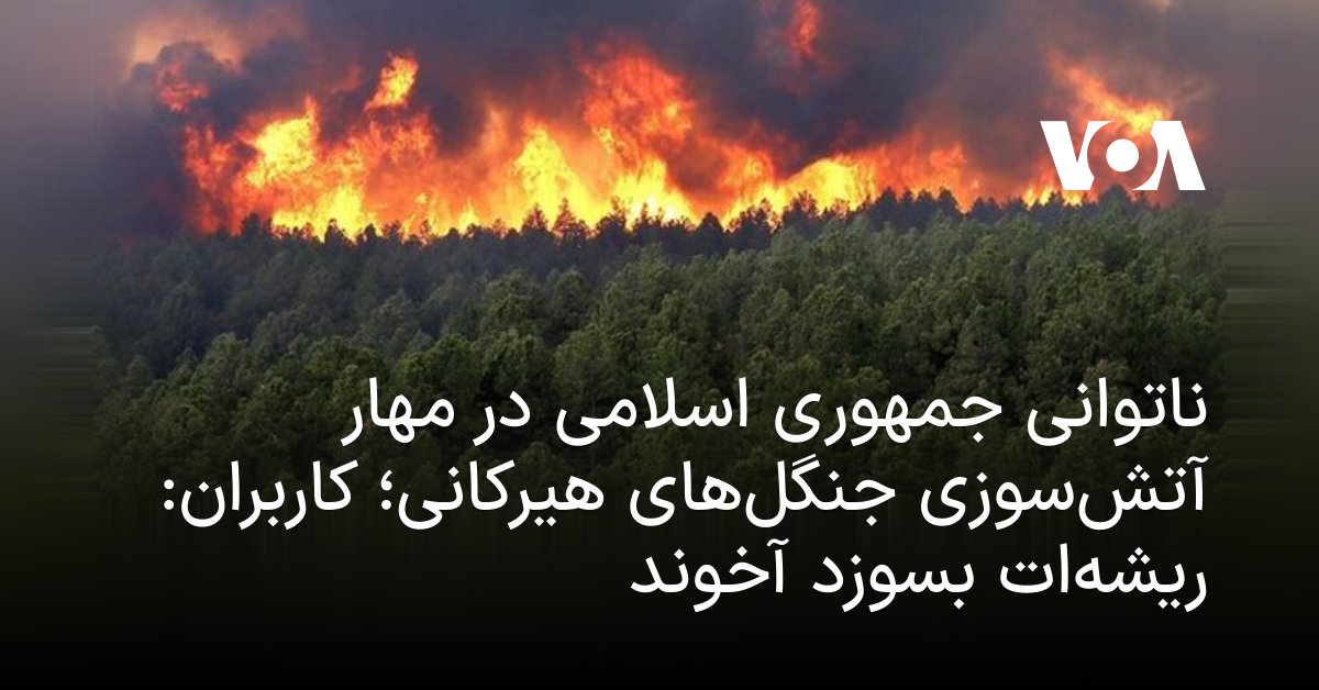 Xvideos de mc pipokinha