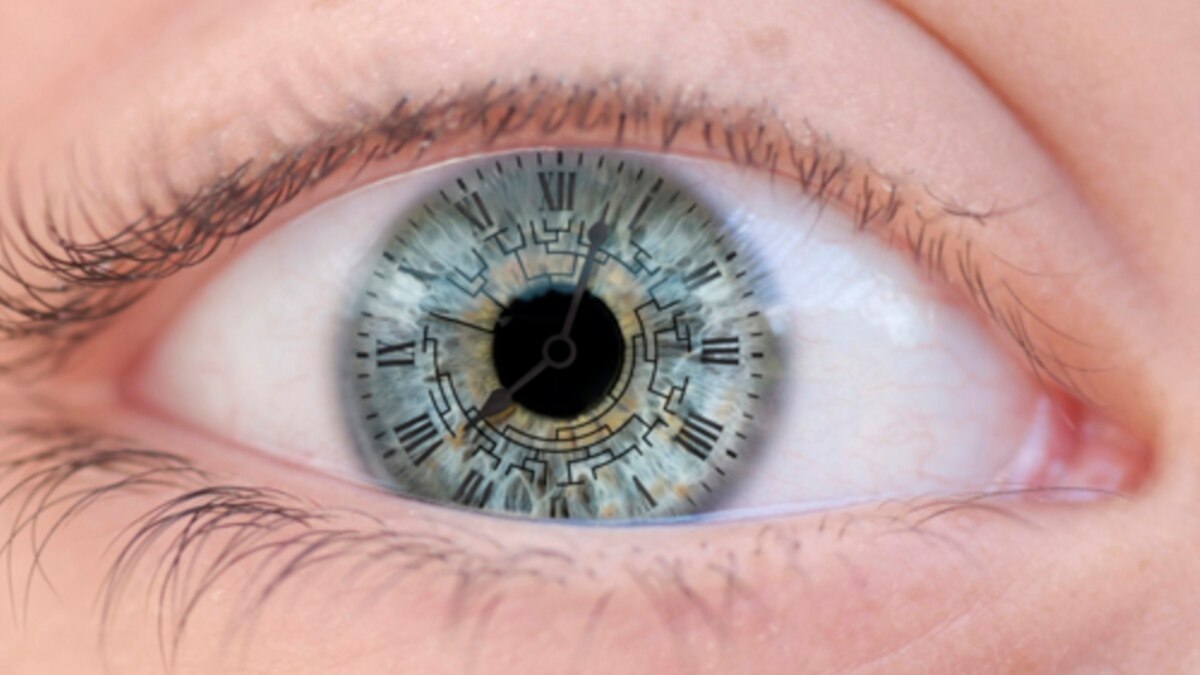 Small Creatures May Live in Slow-Motion World