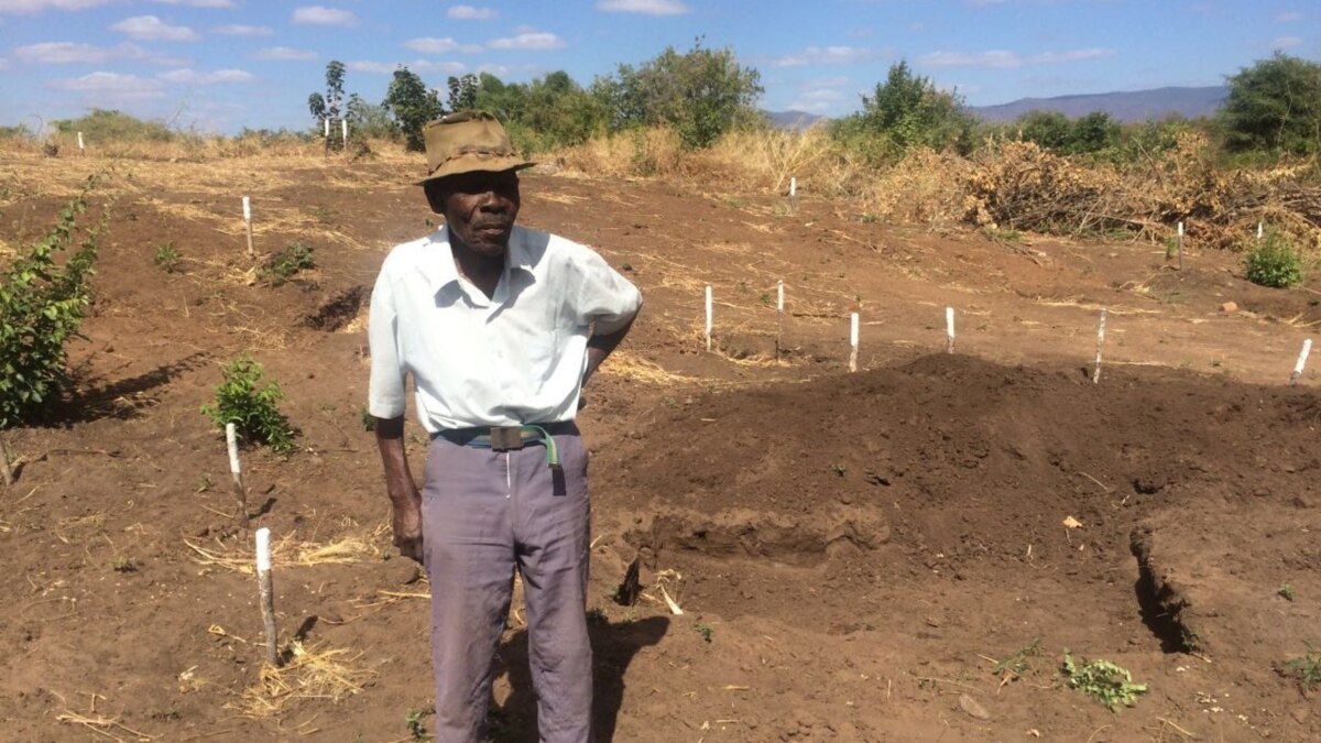 Supporting Humanitarian Demining in Zimbabwe
