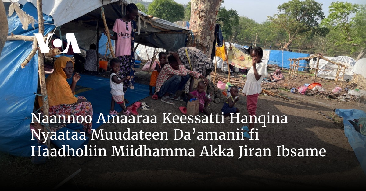 Naannoo Amaaraa Keessatti Hanqina Nyaataa Muudateen Da’amanii fi ...