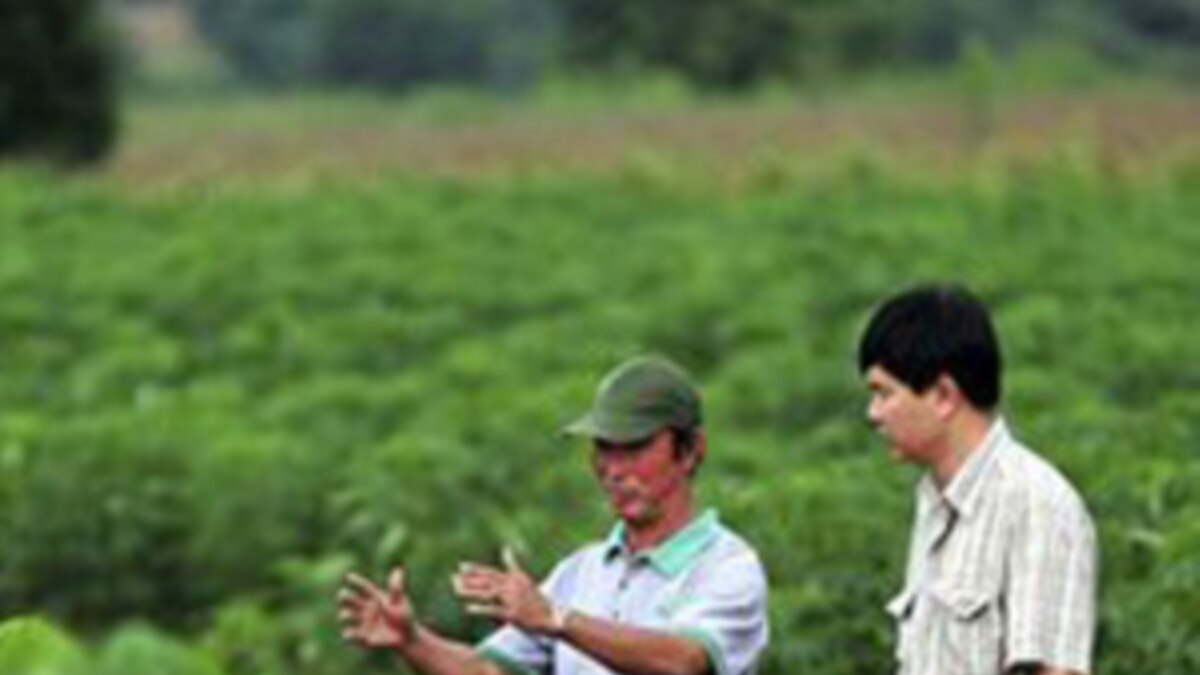 Integrated Pest Management Can Increase Crop Production