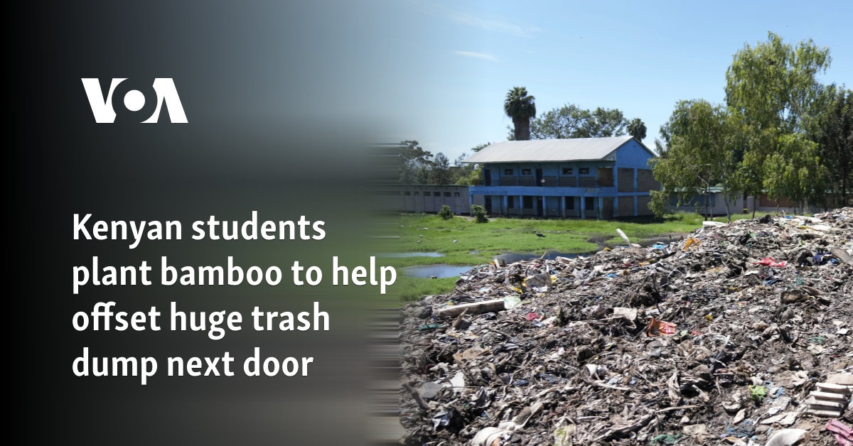 Kenyan students plant bamboo to help offset huge trash dump next door