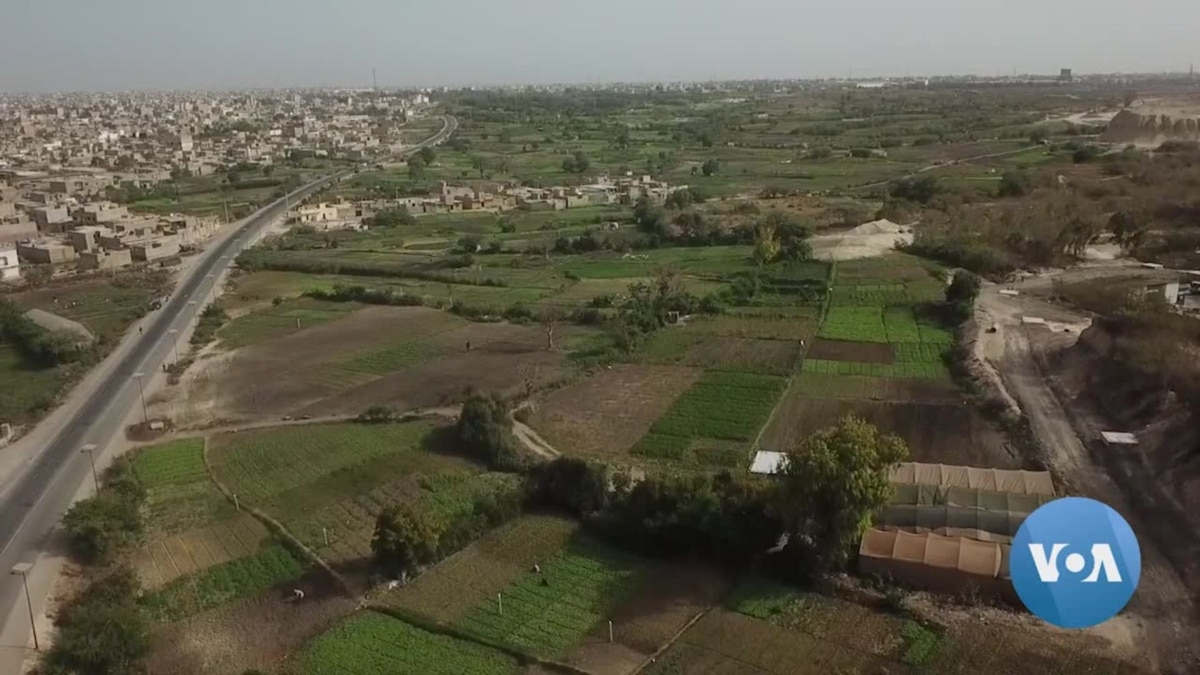 Eco-Friendly Farm Practices Grow in Senegal