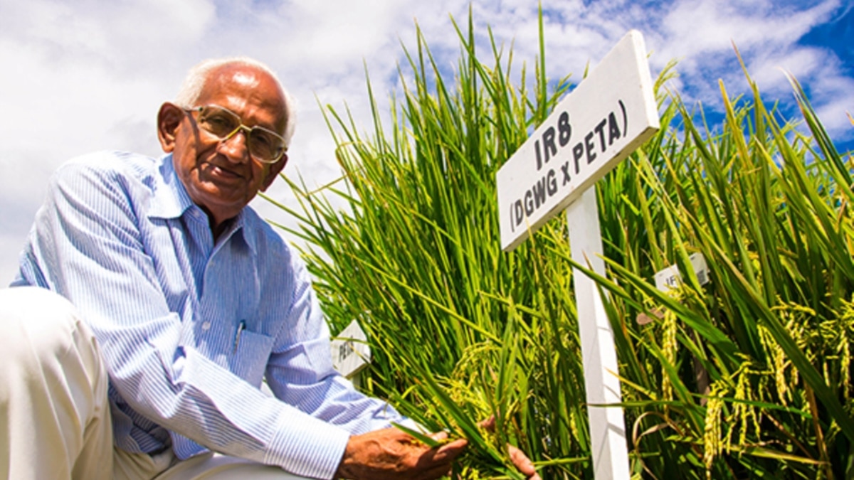 India Celebrates 50th Anniversary for Rice That Prevented Famines