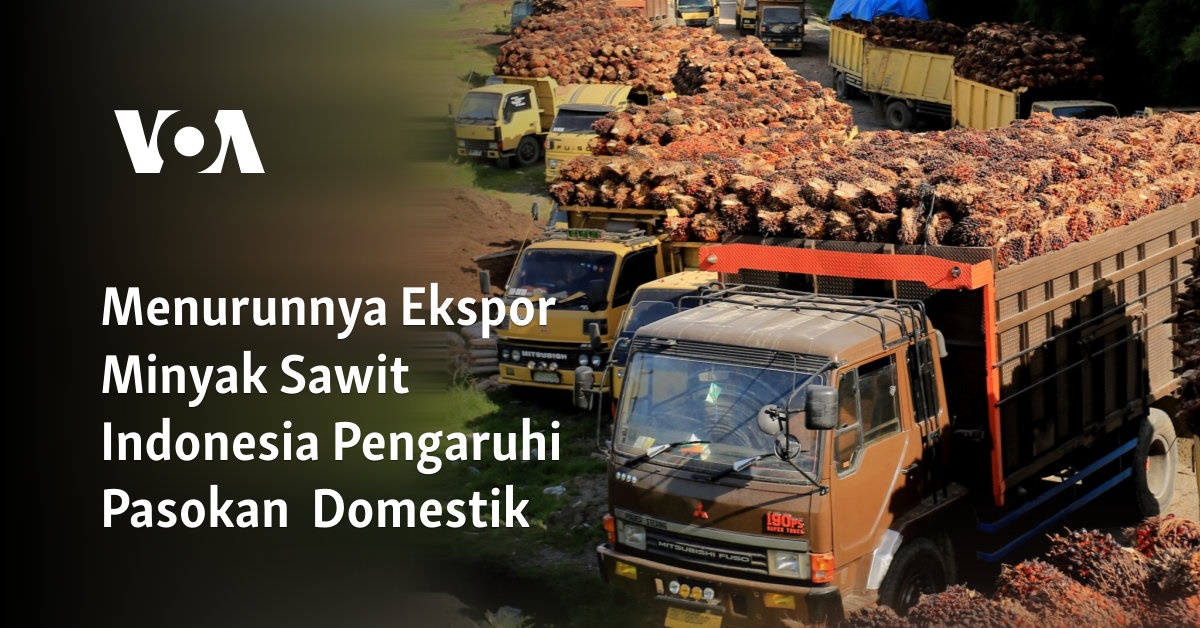 Menurunnya Ekspor Minyak Sawit Indonesia Pengaruhi Pasokan Domestik