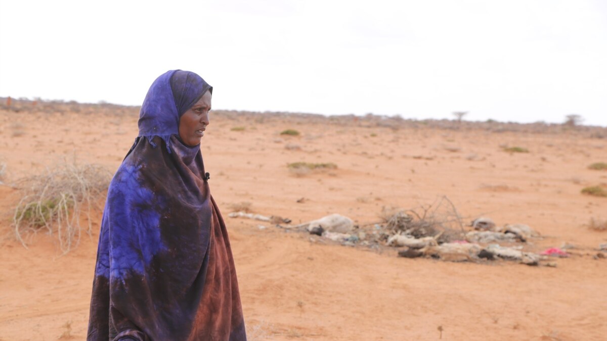 Abaaro Daran oo ka Jira G. Gedo