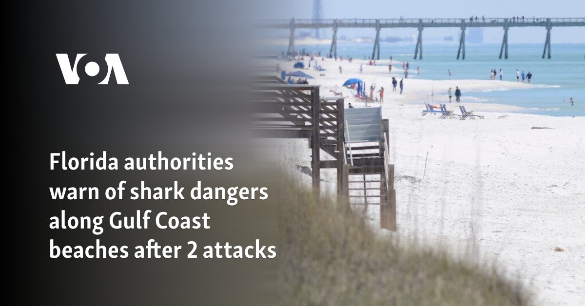 Florida authorities warn of shark dangers along Gulf Coast beaches ...