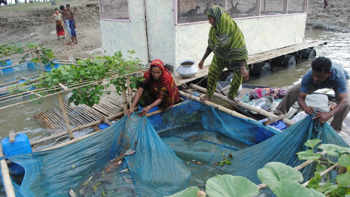 Floating Farms of Bangladesh