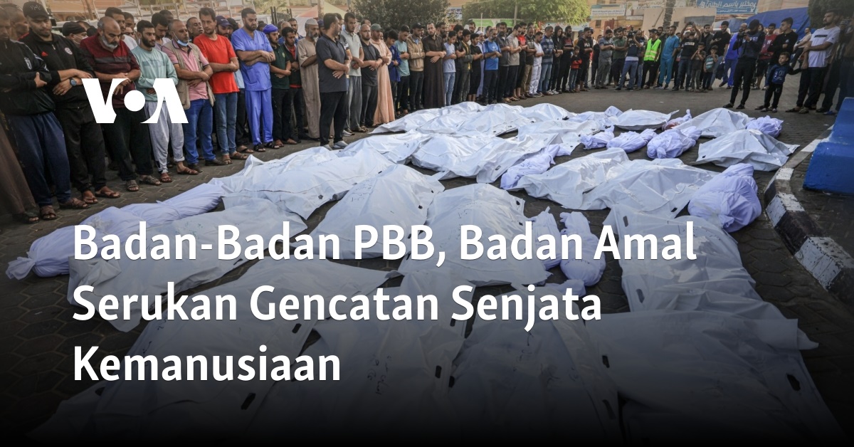 Badan-Badan PBB, Badan Amal Serukan Gencatan Senjata Kemanusiaan