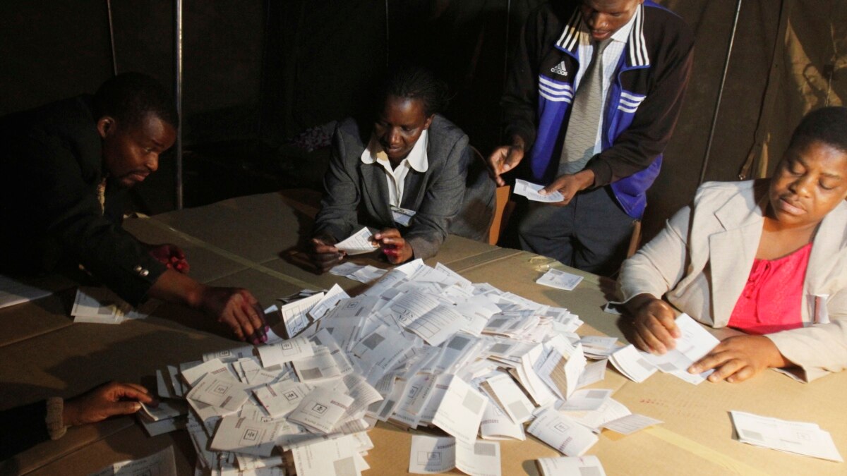 Observers Urge Zimbabwe to Introduce Electronic Voting