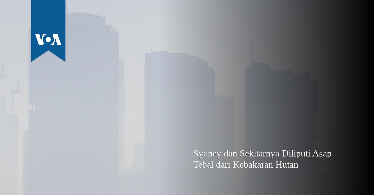 Sydney dan Sekitarnya Diliputi Asap Tebal dari Kebakaran Hutan