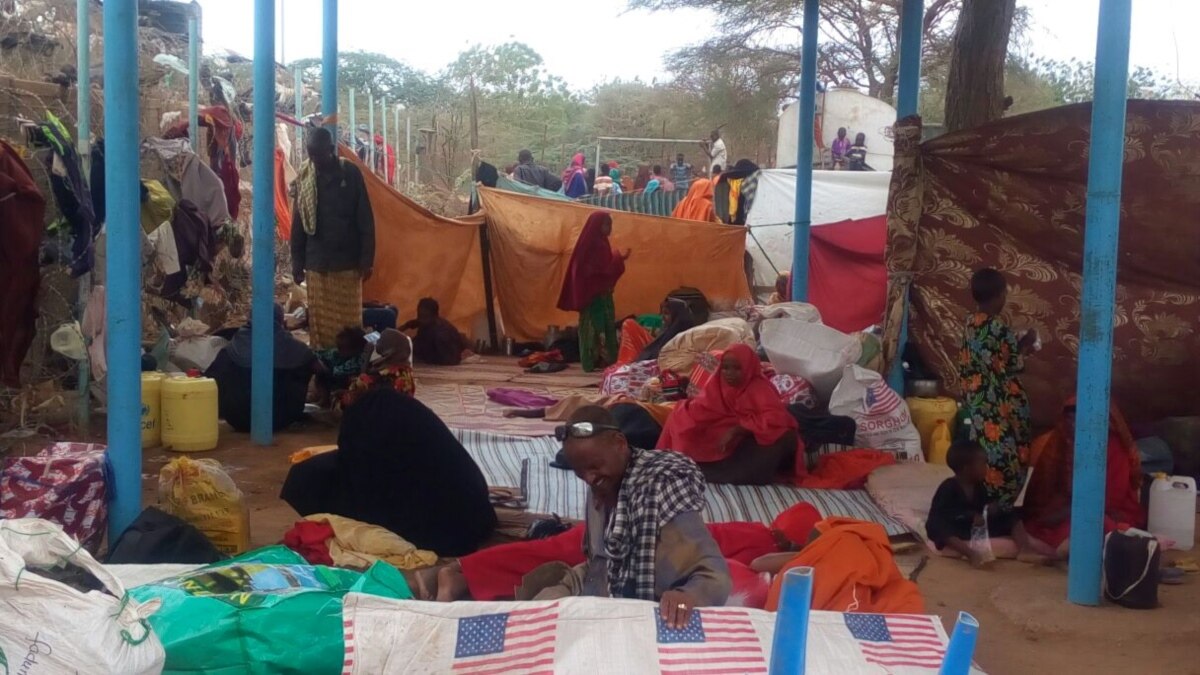 Guriceel: Lammaane kharashkii ku bixi lahaa arooskooda ugu deeqay ...