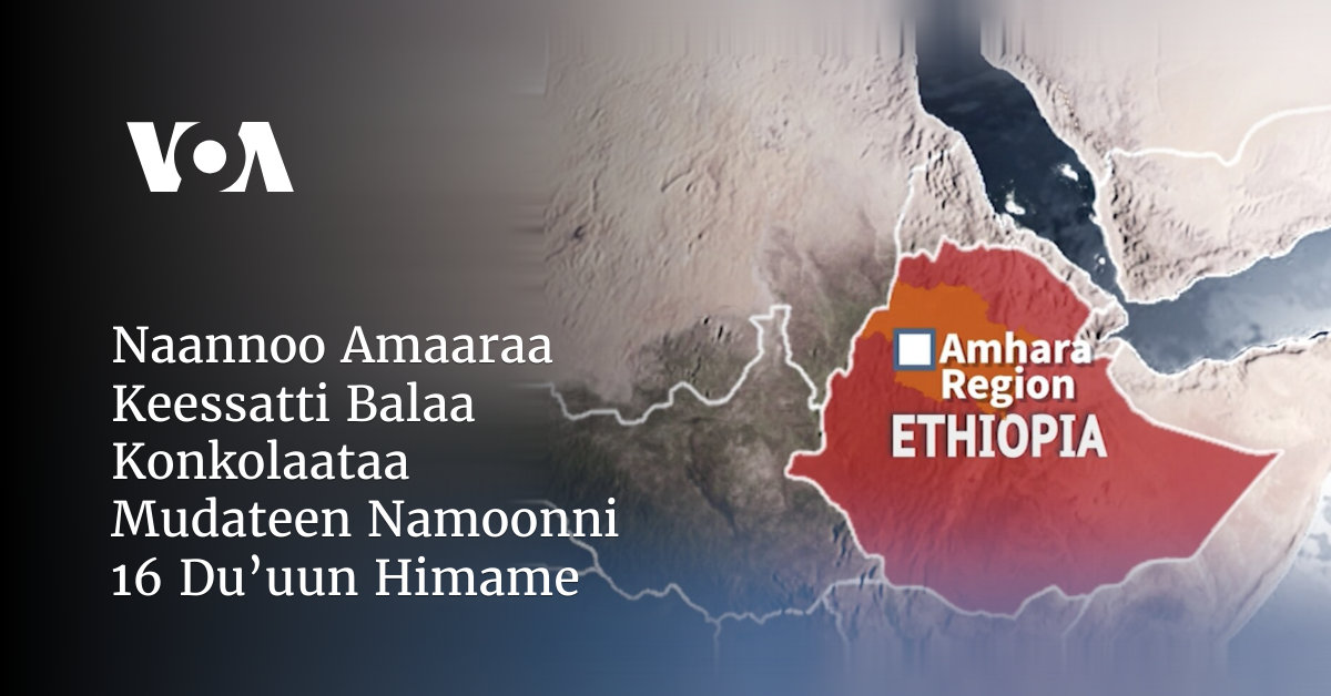 Naannoo Amaaraa Keessatti Balaa Konkolaataa Mudateen Namoonni 16 Du’uun ...