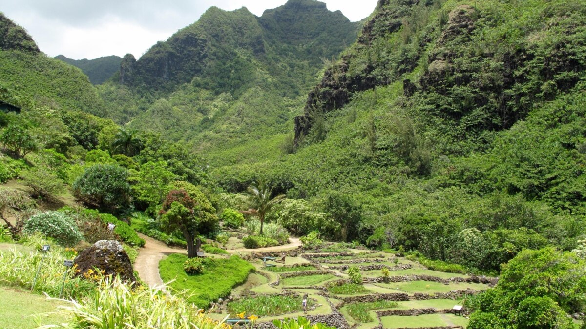 Ancient Hawaiian Farmers Offer Lessons in Sustainability