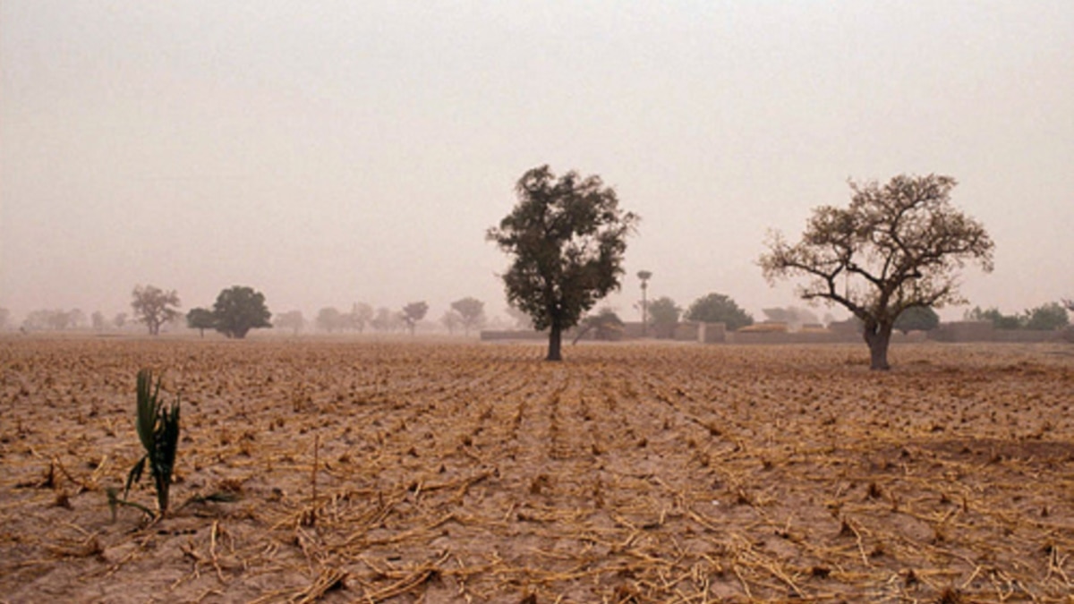 In Rural Mali, Women's Climate Work Brings Political Prowess