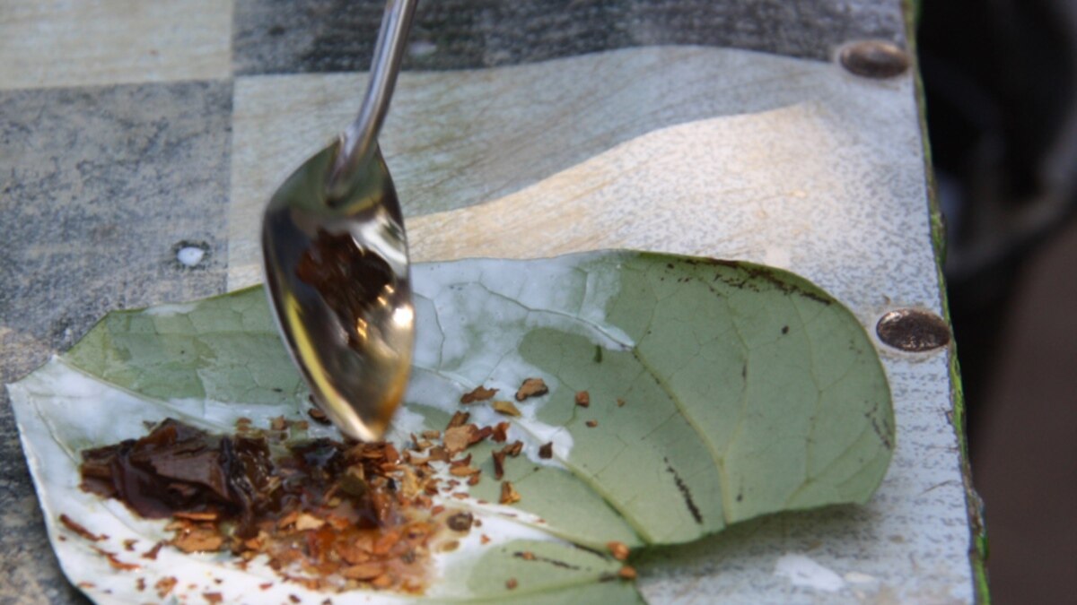 Meskipun Berisiko Kanker, Menyirih Tetap Populer di Myanmar