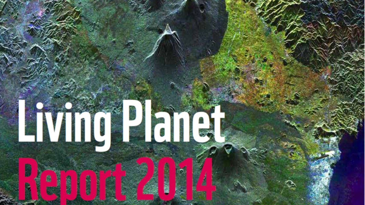 WWF: Health of Planet Is at Risk