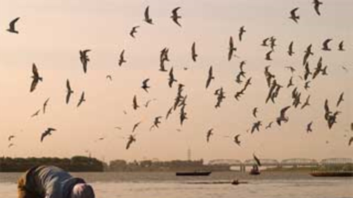 Sudan Environmental Experts Warn About Climate Change [3:17]