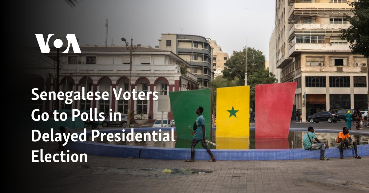 Senegalese Voters Go to Polls in Delayed Presidential Election