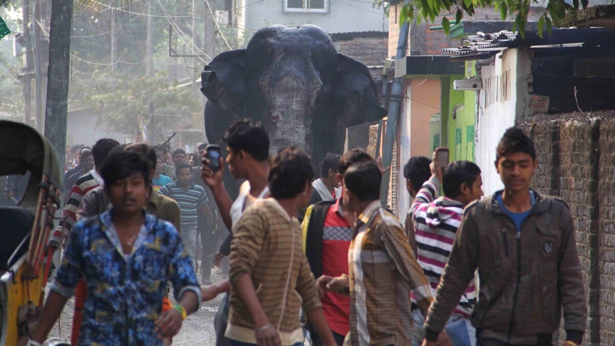 Rampaging Elephant Destroys Buildings in Indian Village