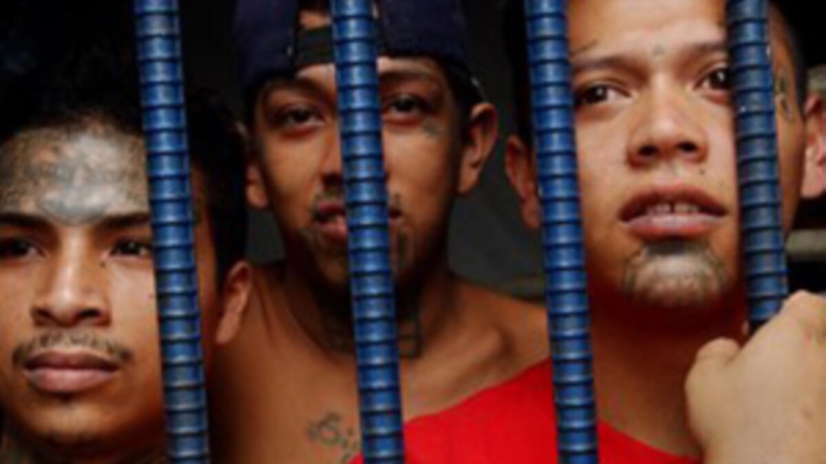 Masivo operativo contra pandillas