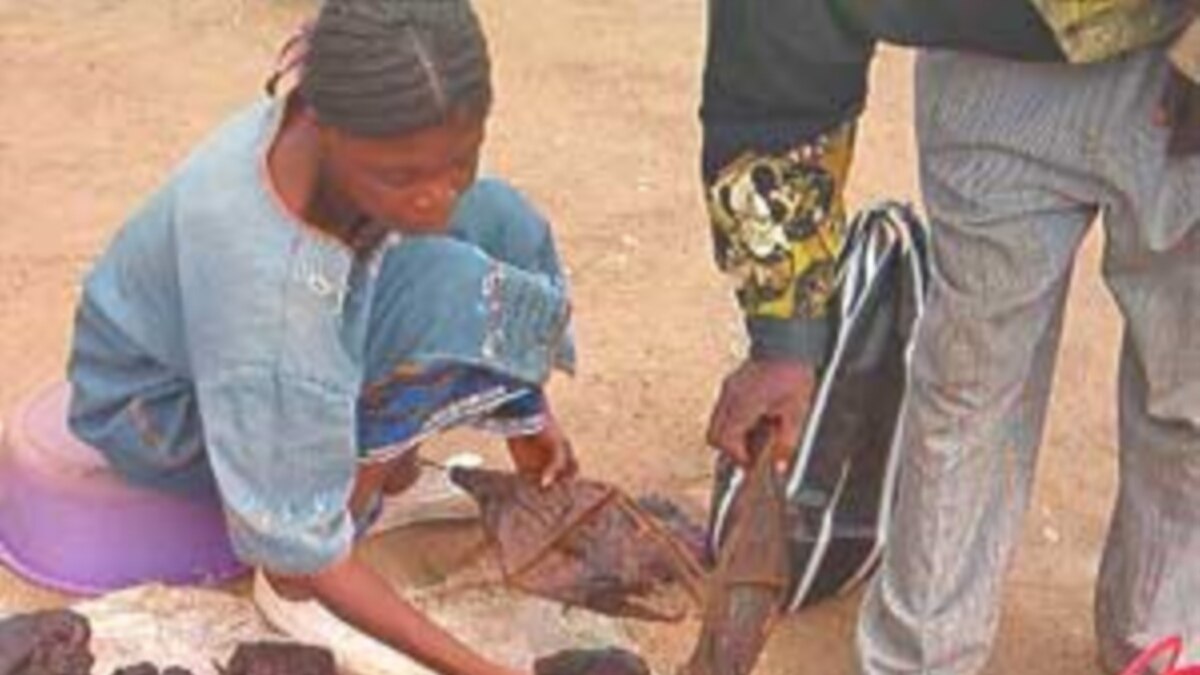 Cameroon Government Regulates Bushmeat Trade