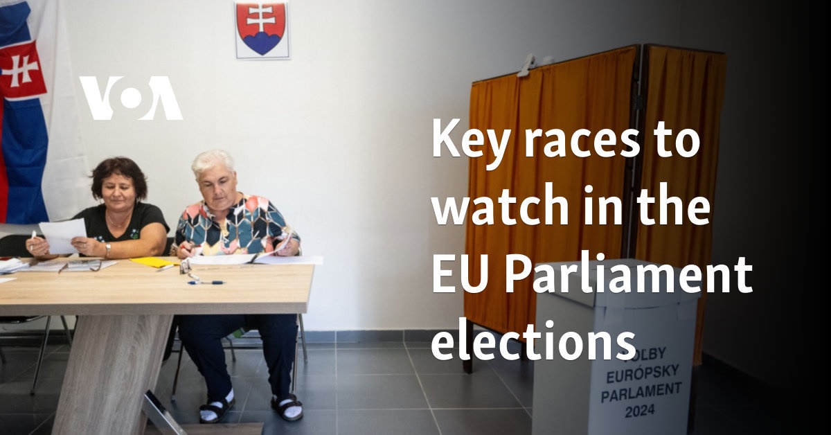 Key races to watch in the EU Parliament elections