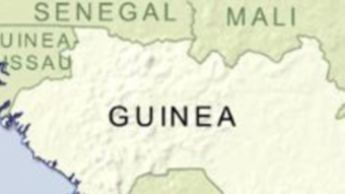 ECOWAS Leader Calls for Intervention Force in Guinea