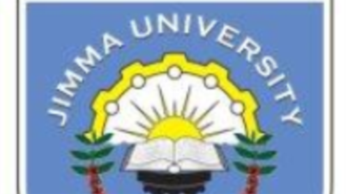 Barsiisonnii fi Hoogganoonni Yunivarsitii Jimmaa Hidhaa Jiran Yeroo ...