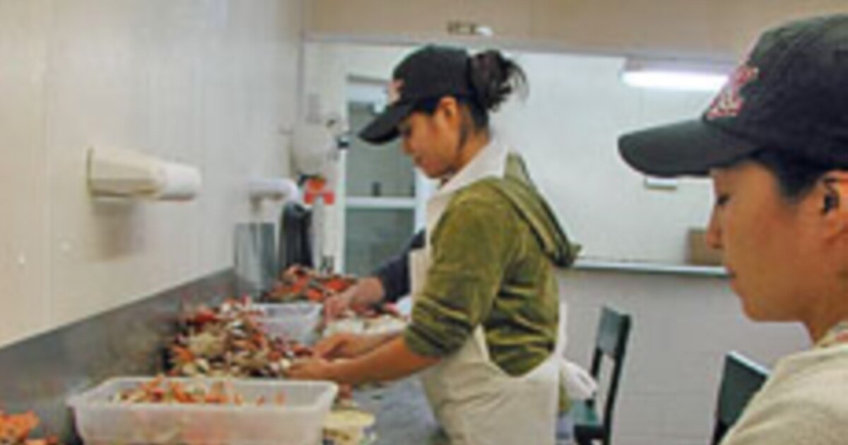 Mexican Guest Workers Take Jobs Few Americans Want
