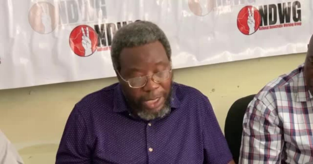 National Democratic Working Group Acting Chairperson Wurayayi Zembe ...