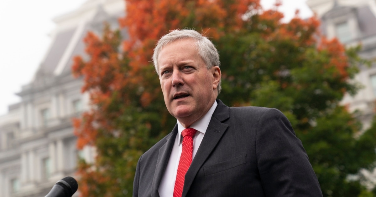 Meadows, Powell Testimony Sought in Georgia Election Probe