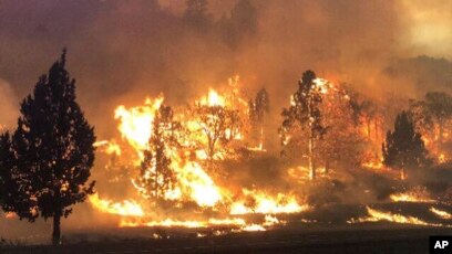 California Wildfires Fire Border
