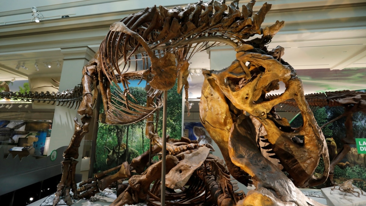 Science Celebrating 200 Years of Dinosaur Research