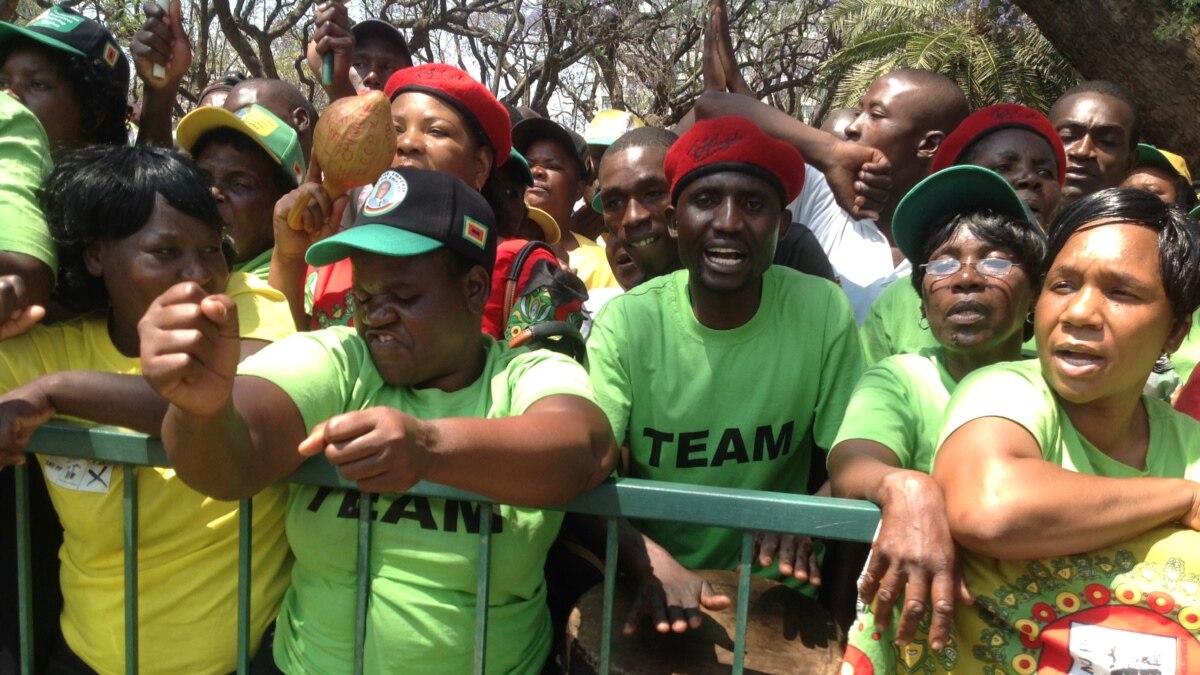 'Zanu PF Activist' Recalls 70 Ruling Party Members of Parliament