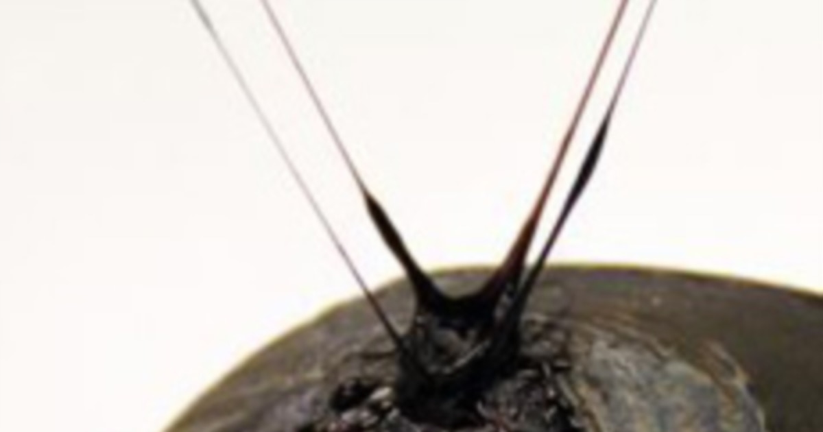 Scientists Create Glue Inspired by Mussels