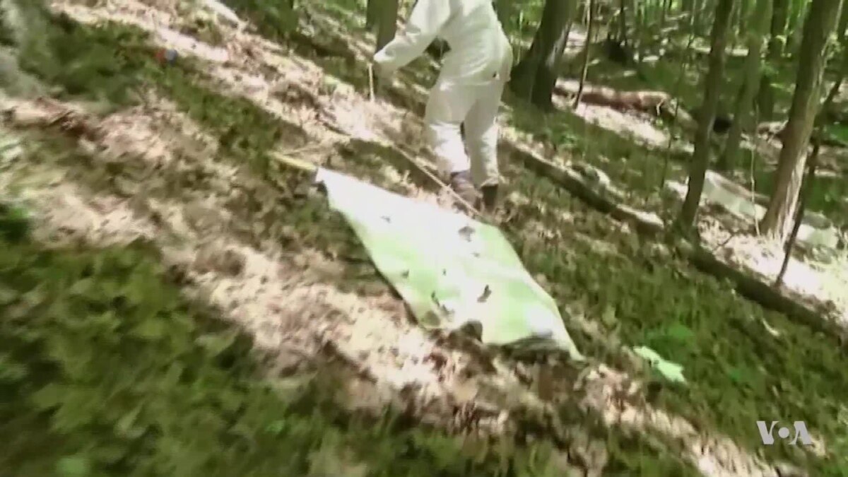 Disease-carrying US Tick Population Exploding After Mild Winter Disease-carrying US Tick Population Exploding After Mild Winter