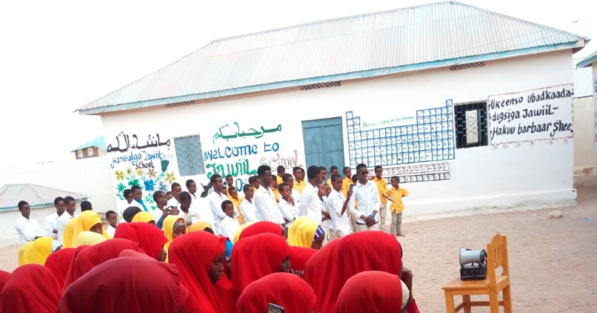 Madasha Dhalinyarada: Xaaladda Waxbarasho ee Degmada Jawiil