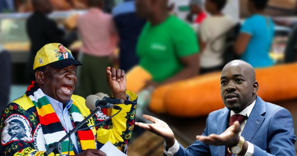Gamba VaKabasa Voradzikwa VaMnangagwa Vachiti Vanoda Sarudzo Dzisina ...