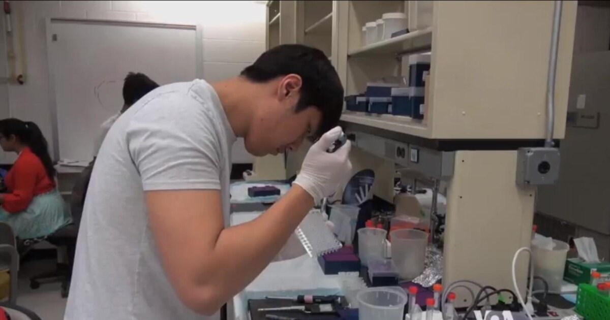 Scientists Build a Custom Chromosome